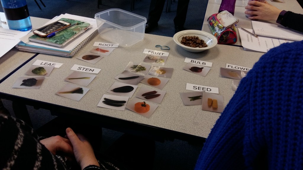 Working Scientifically for Primary Schools CPD – sciencecpd.com
